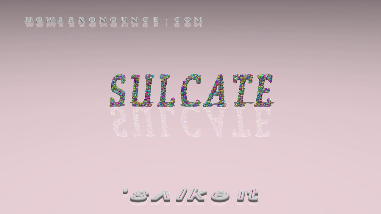 sulcate - pronunciation + Examples in sentences and phrases - YouTube
