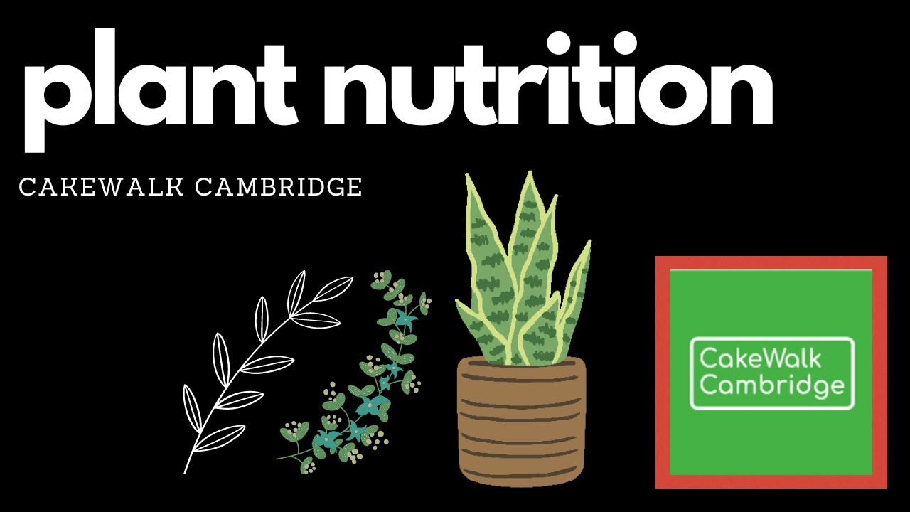 IGCSE Biology 6 - Plant Nutrition | CakeWalk Cambridge - YouTube