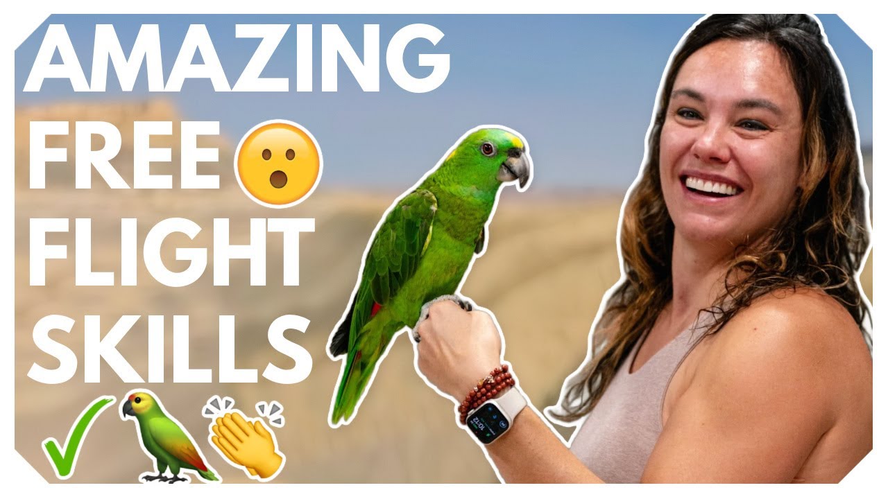 Watch This Amazon Parrot's Amazing Freeflight Skills! - YouTube