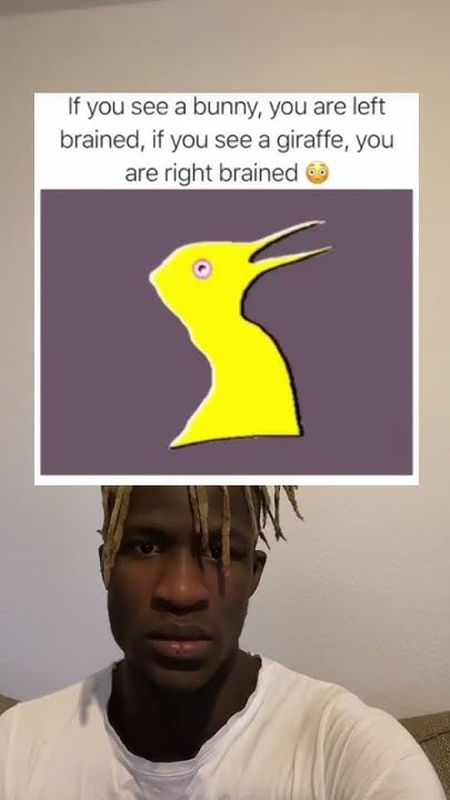 What Does Your BRAIN Recognize?? - YouTube