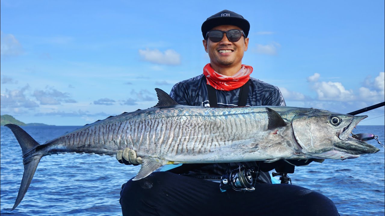 AKHIRNYA DISAMBAR MONSTER! INI DIA PENAMPAKAN IKAN RAJA MALUKU UTARA ...