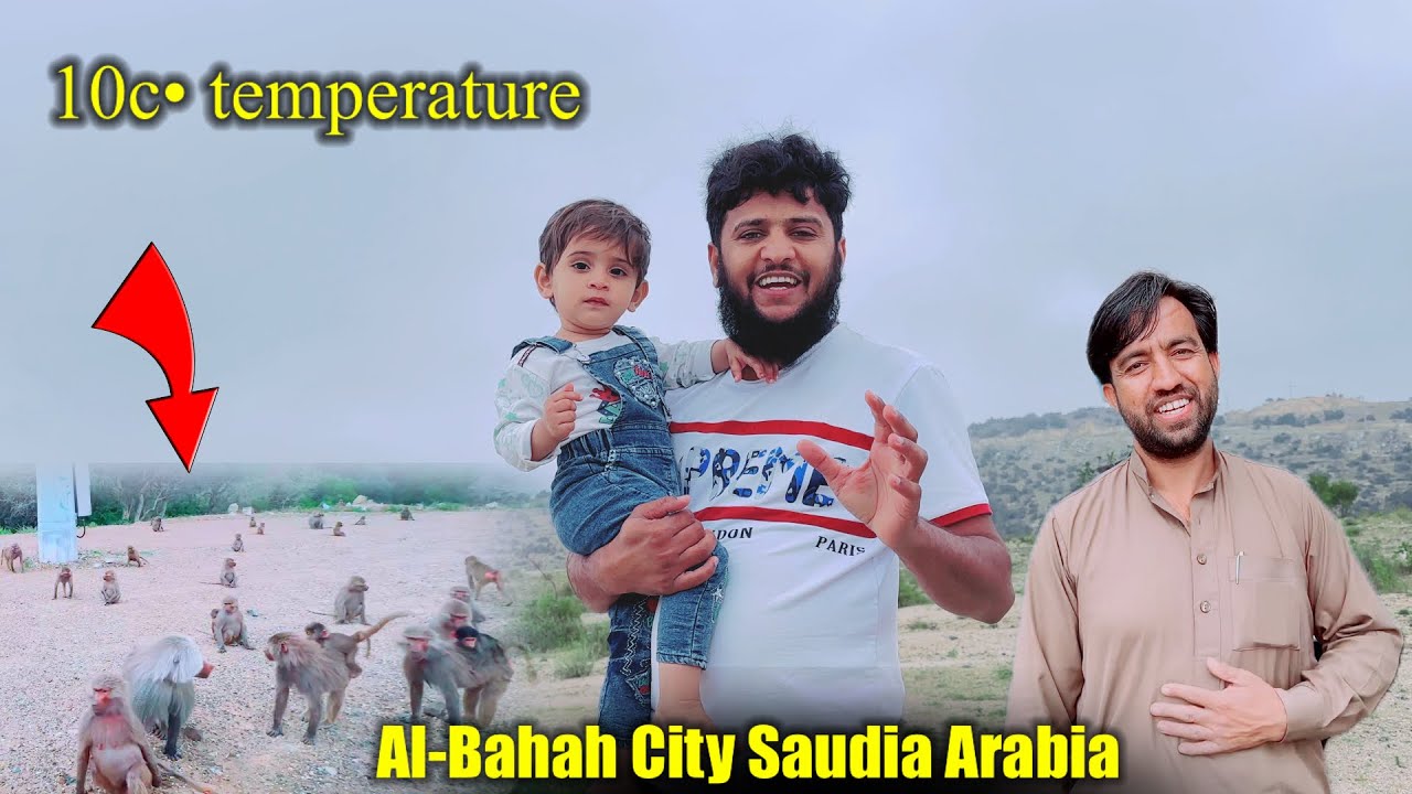 Al-Bahah City's Unique Cold Area Experience | tourist place in Saudi ...