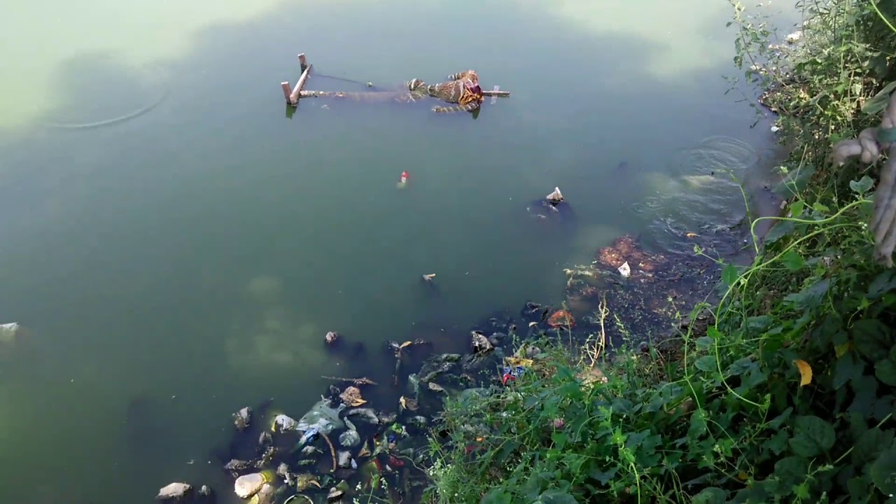 Water snake in india....पानी का साँप - YouTube