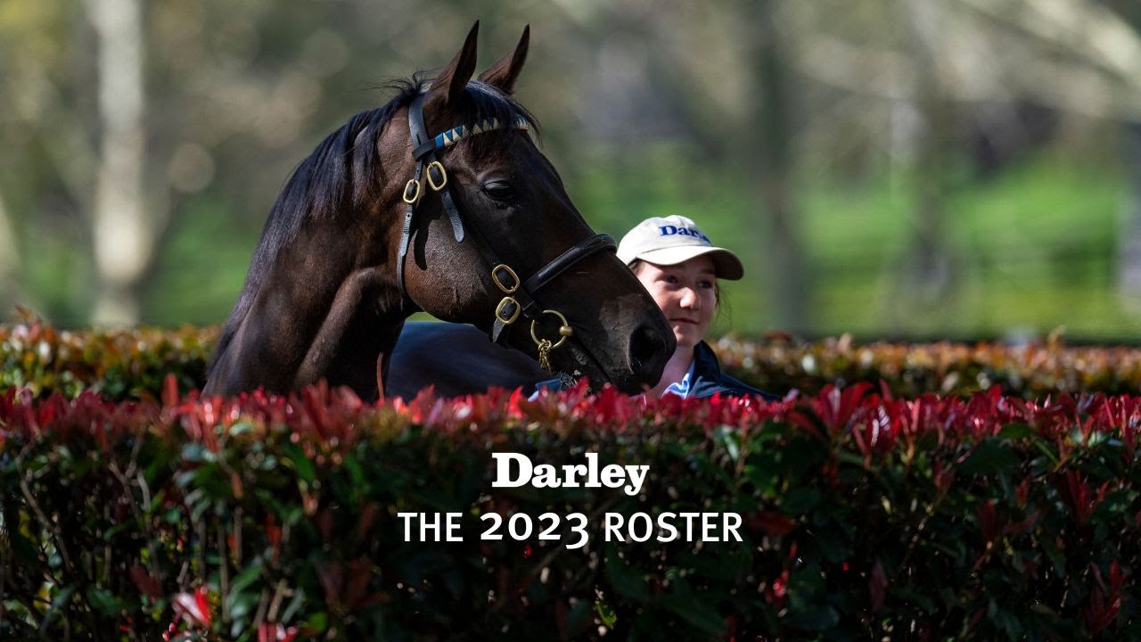 Uncover the inner workings of the Darley Australia stallion roster ...