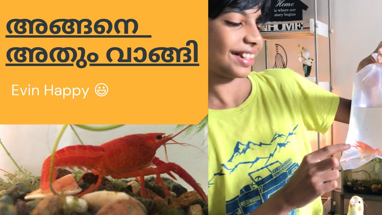 Crawfish 🦞 | Muhasina.Ash - YouTube
