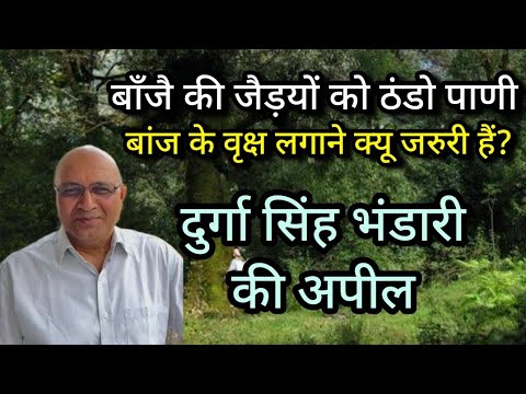 आओ बांज का वृक्षारोपण कर आने वाली पीढ़ी को जल संकट से बचाए Durga Singh ...