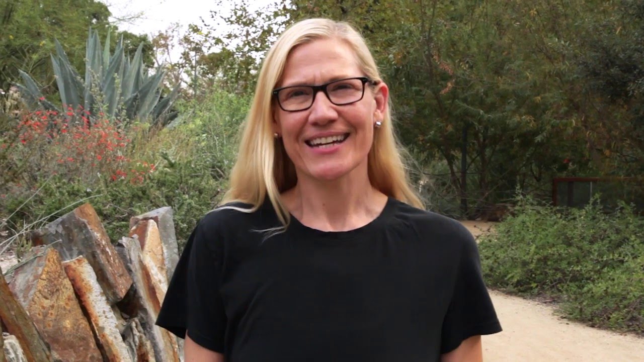 The Curiosity Show Trailer - YouTube