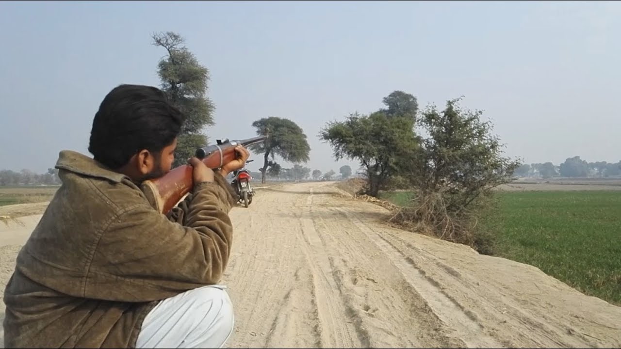 Long Range Bird Hunting With Air Gun - Dove, Quail, Pigeon, Migratory ...