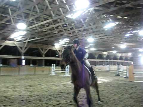 Hunter Equitation Over Fences 2' 6"- 2' 9" - YouTube