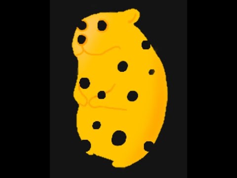 How to Find "Cheese Chomik" In Find the Chomiks - YouTube