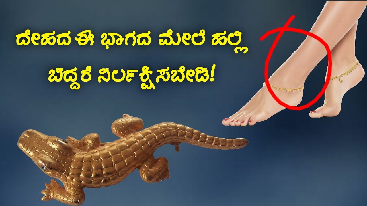ದೇಹದ ಯಾವ ಭಾಗದಲ್ಲಿ ಹಲ್ಲಿ ಬಿದ್ದರೆ ಏನು ಫಲ? | Results of lizard falling on ...