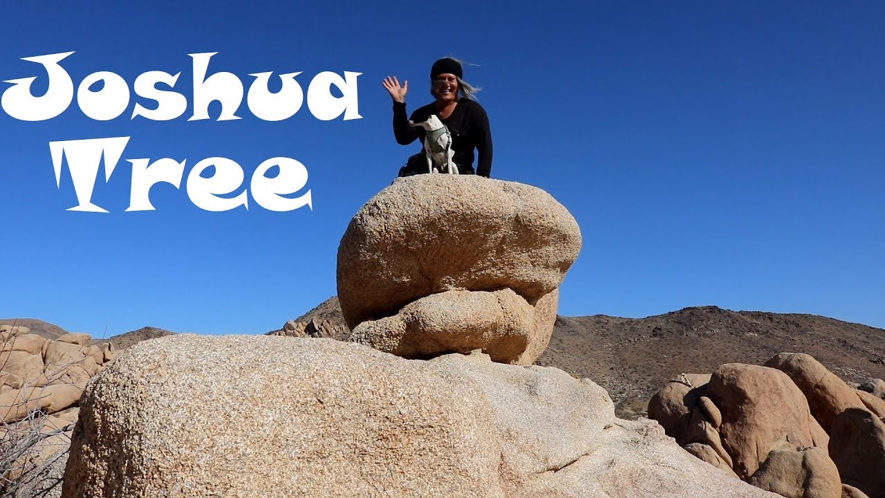 Exploring Joshua Tree National Park With The Tribe - YouTube