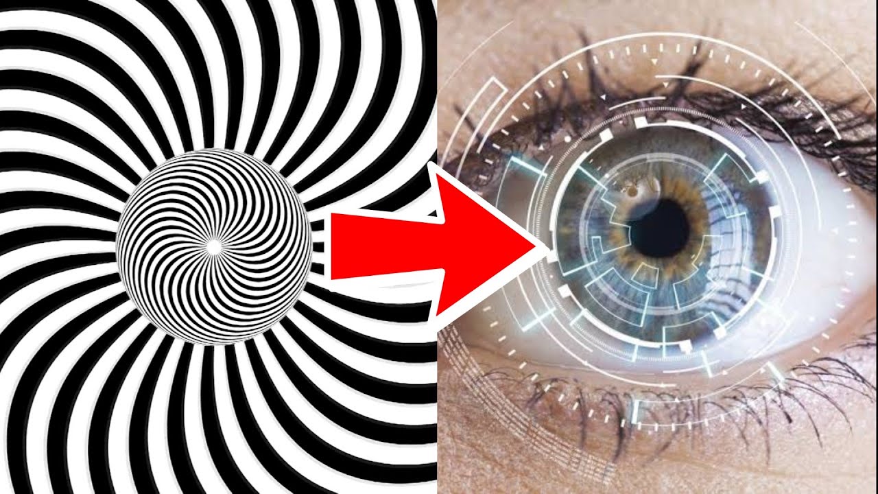 CAMEL ILLUSION दिमागी खेल जो आपकी आंखों को चकरा दे Optical illusions ...