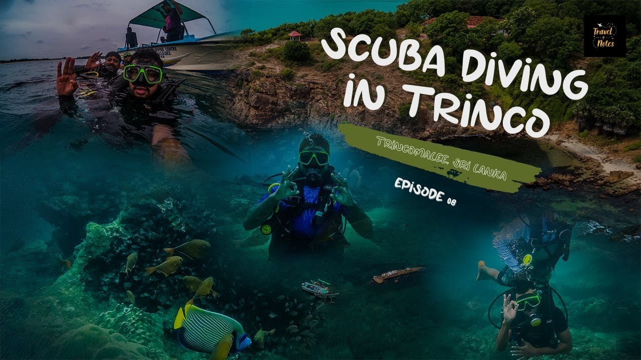 Trinco මුහුද යට ලස්සන | Scuba Diving in Trincomalee - YouTube