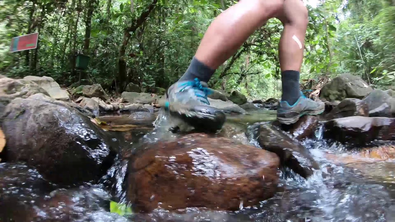 Tropical Rainforest Run 2019 - YouTube