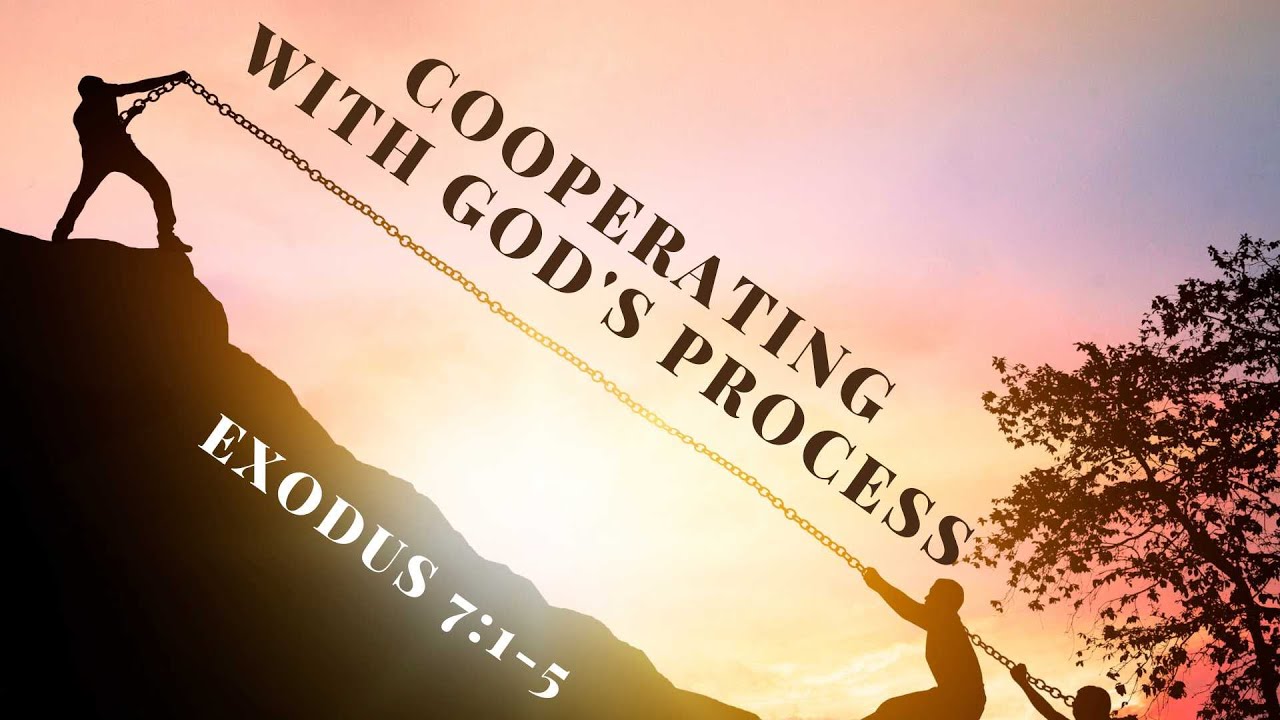 Cooperating With God's Process by Pastor Robert Hernandez - YouTube