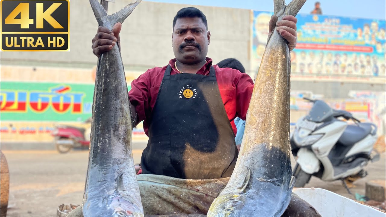 | KASIMEDU SPEED SELVAM PARLA FISH CUTTING SKILLS FRESH FISH CUTTING ...