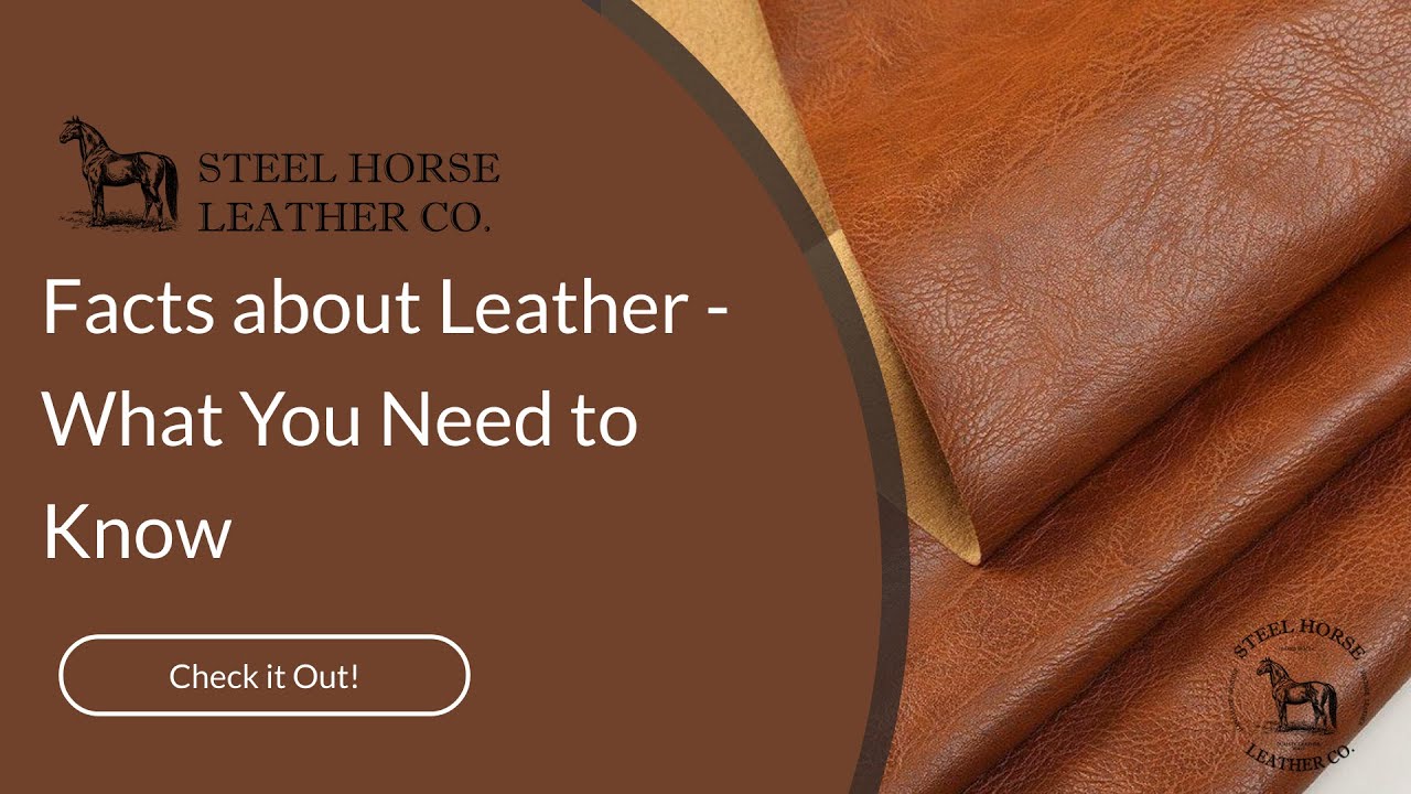 Facts about Leather - What You Need to Know - YouTube