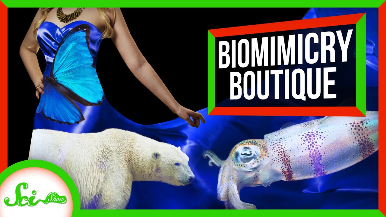 Squid Proteins, but Make Them Fashion - YouTube