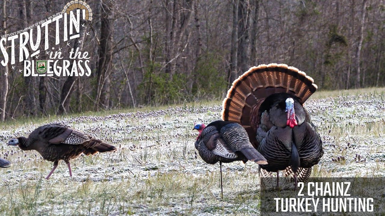 S2, E2 - 2 Chainz - Turkey Hunting - YouTube