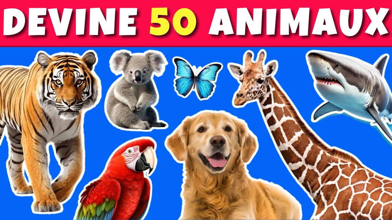 Devine 50 ANIMAUX en 5 secondes 🐮🐷🐴 | Quiz Pour Enfant - YouTube