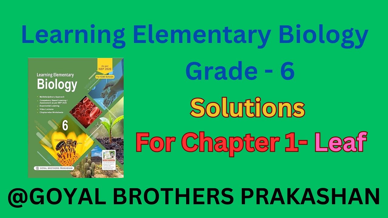 Learning Elementary Biology Grade 6 Solutions - The Leaf - YouTube