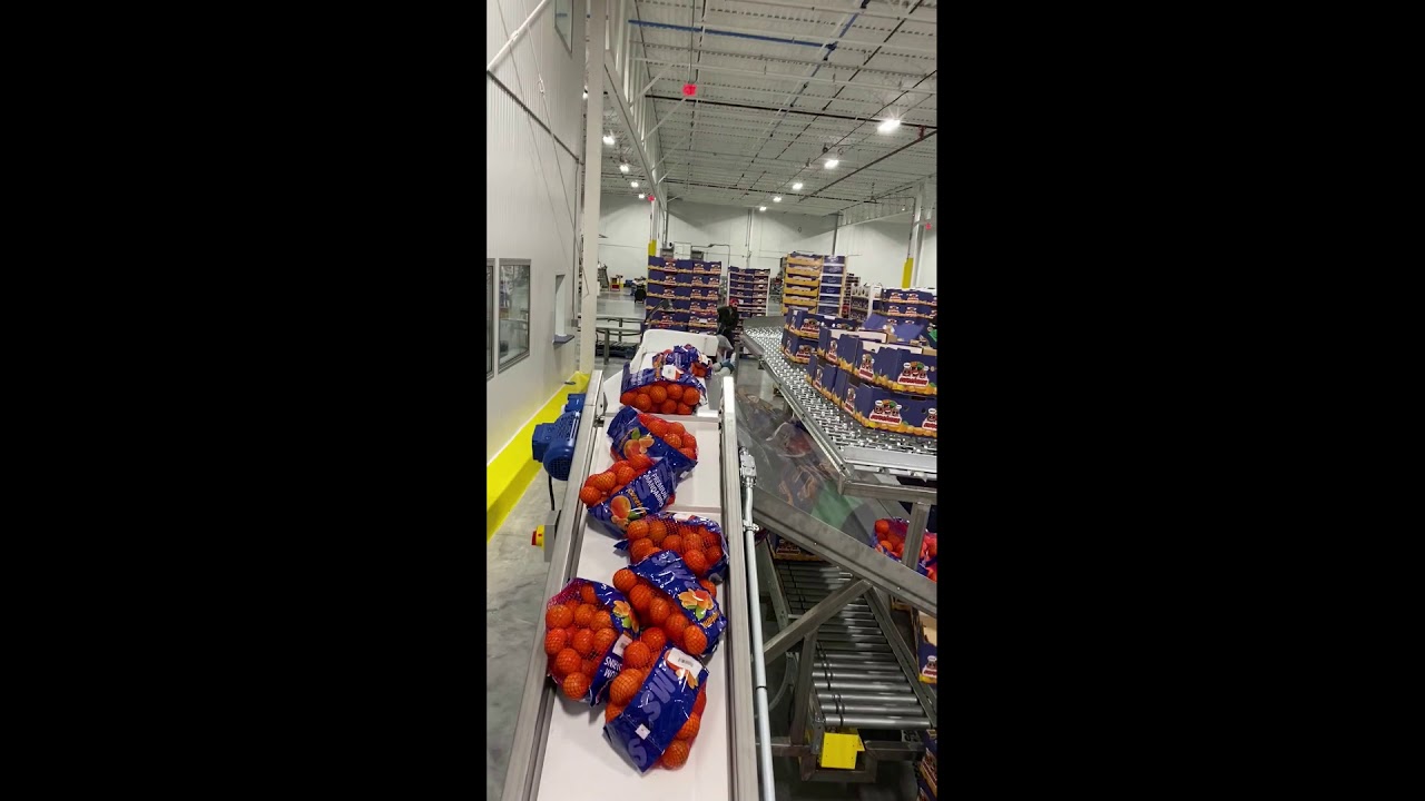 Citrus Bagging Line - YouTube