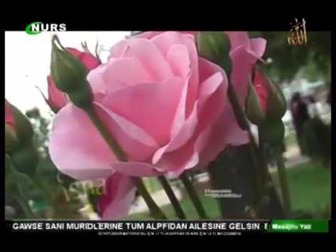 Ferudun eroglu Elhamdulillah