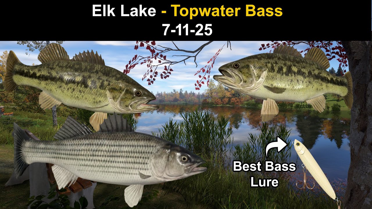 Russian Fishing 4, Elk Lake - Topwater Bass 7-11-25 - YouTube