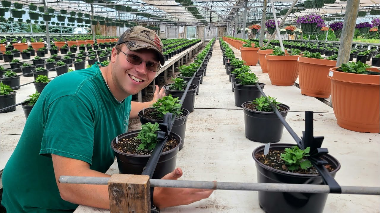 Greenhouses, Field Work & More With The Veggie Boys - YouTube