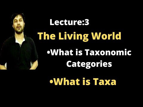 The Living World(Chapter-1)Lecture-3|Class 11th NEET|Taxonomic ...
