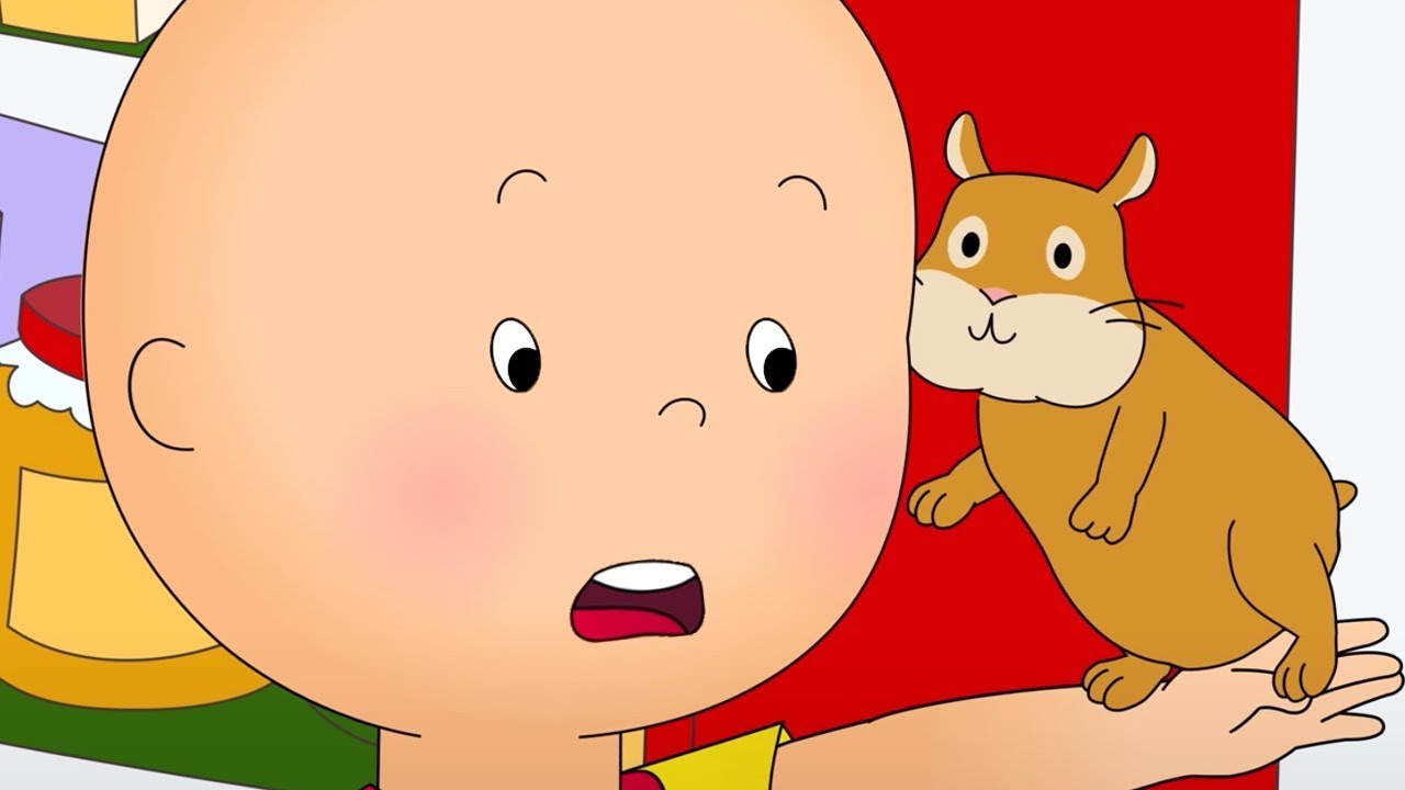 Caillou et L'animal de Compagnie | Caillou en Français - YouTube