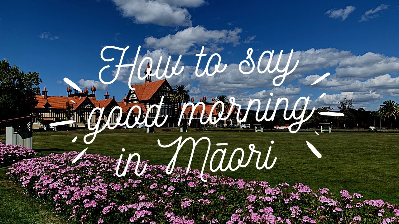 Words you need to learn before moving to New Zealand | Good Morning # ...