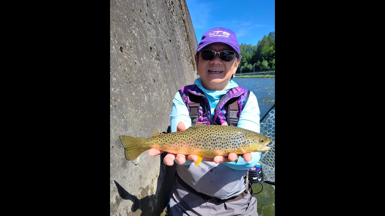 Fly Fishing the Dunajec River, Poland Day 2, 3 - June 18-19, 2024 - YouTube