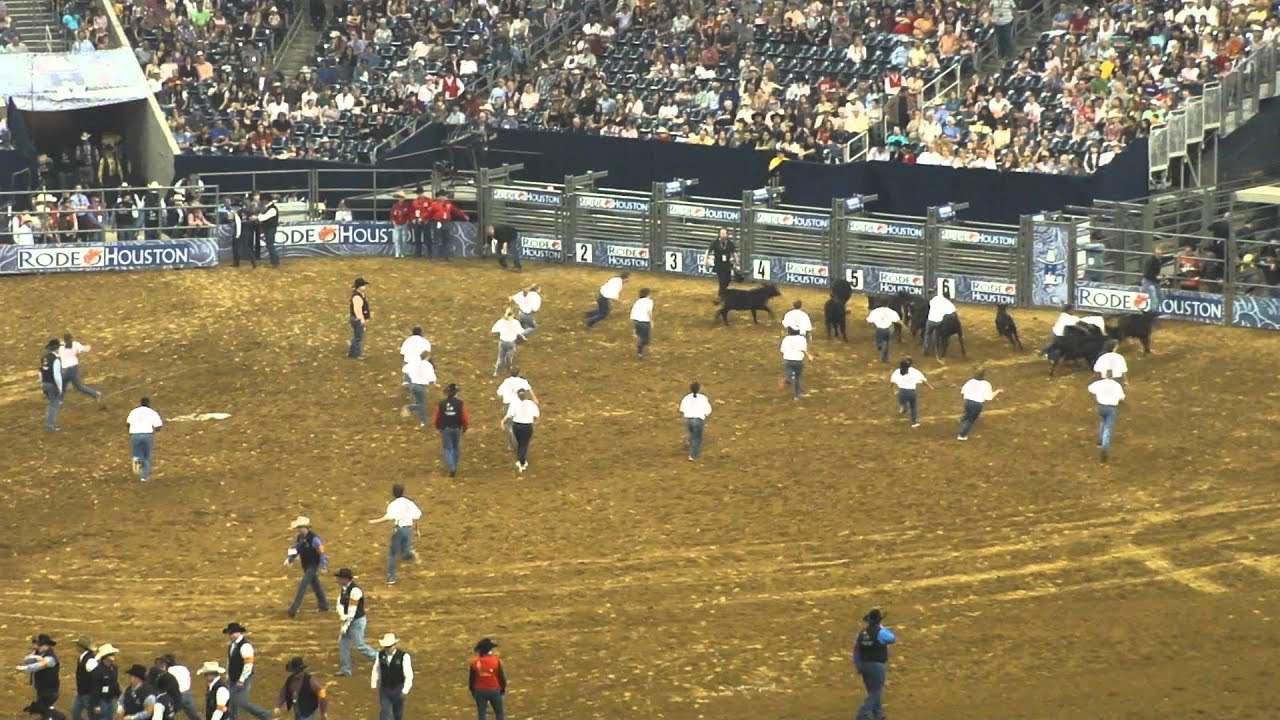 Houston Rodeo, March 18th. Calf scramble - YouTube