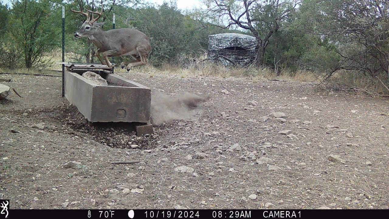 October 2024 Deer Camp Trip - YouTube