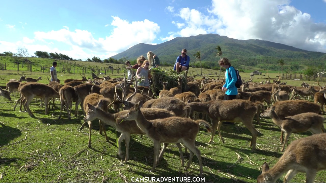 CAMSUR ADVENTURE SUMMER 2017 - OCAMPO - YouTube