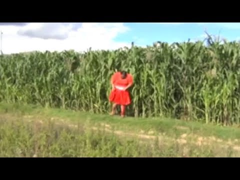 CHOLITA VALLUNA HACIENDO COSITAS DENTRO DE UN MAIZAL