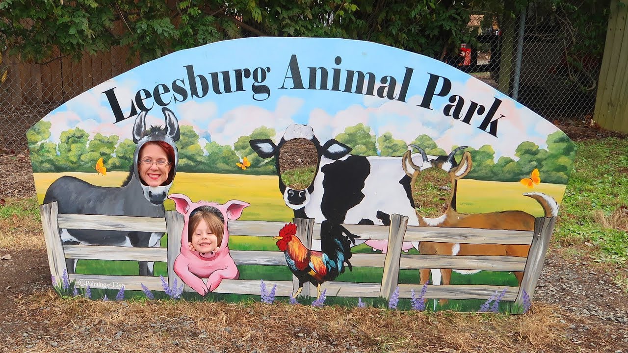Leesburg Animal Park 2018 ⭐ Family Fun with Friendly, Adorable Animals ...