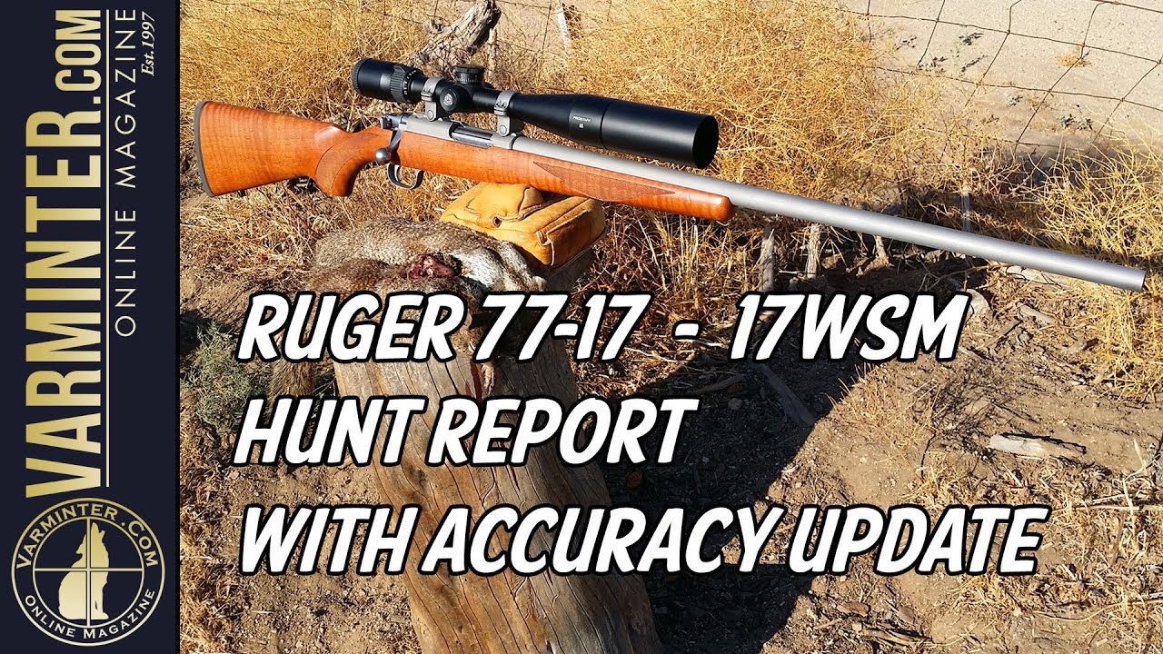 Ruger 77/17 - 17WSM Hunt Report Part One with Accuracy Update - YouTube