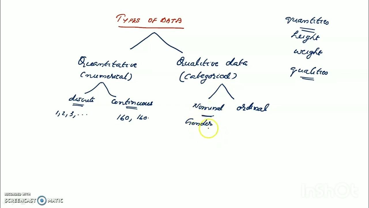 TYPES OF DATA - YouTube