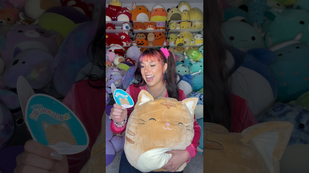 SQUISHMALLOW OF THE DAY: NATHAN THE CAT! #squishmallows - YouTube