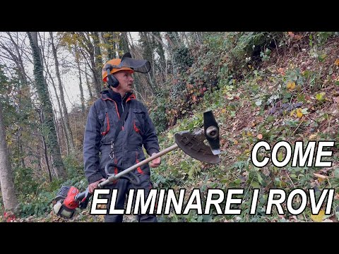 COME ELIMINARE I ROVI - YouTube