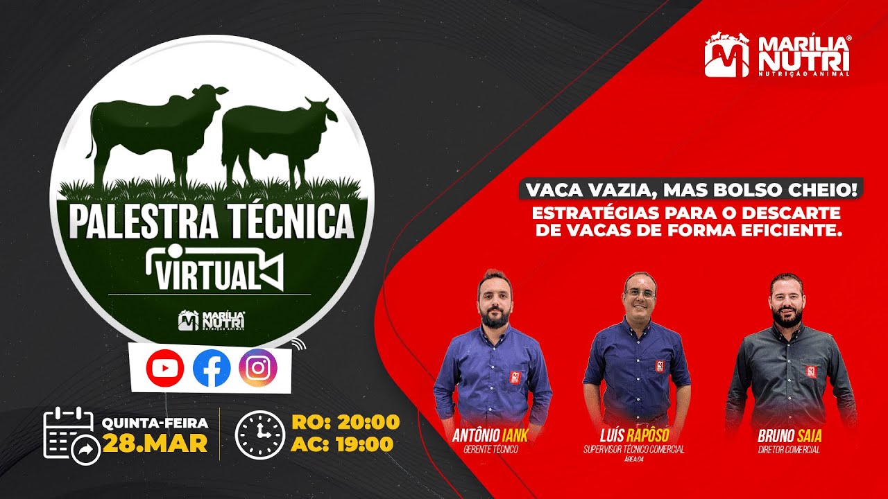 #Vaca Vazia, mas bolso cheio: Estratégias para o descarte de vacas de ...