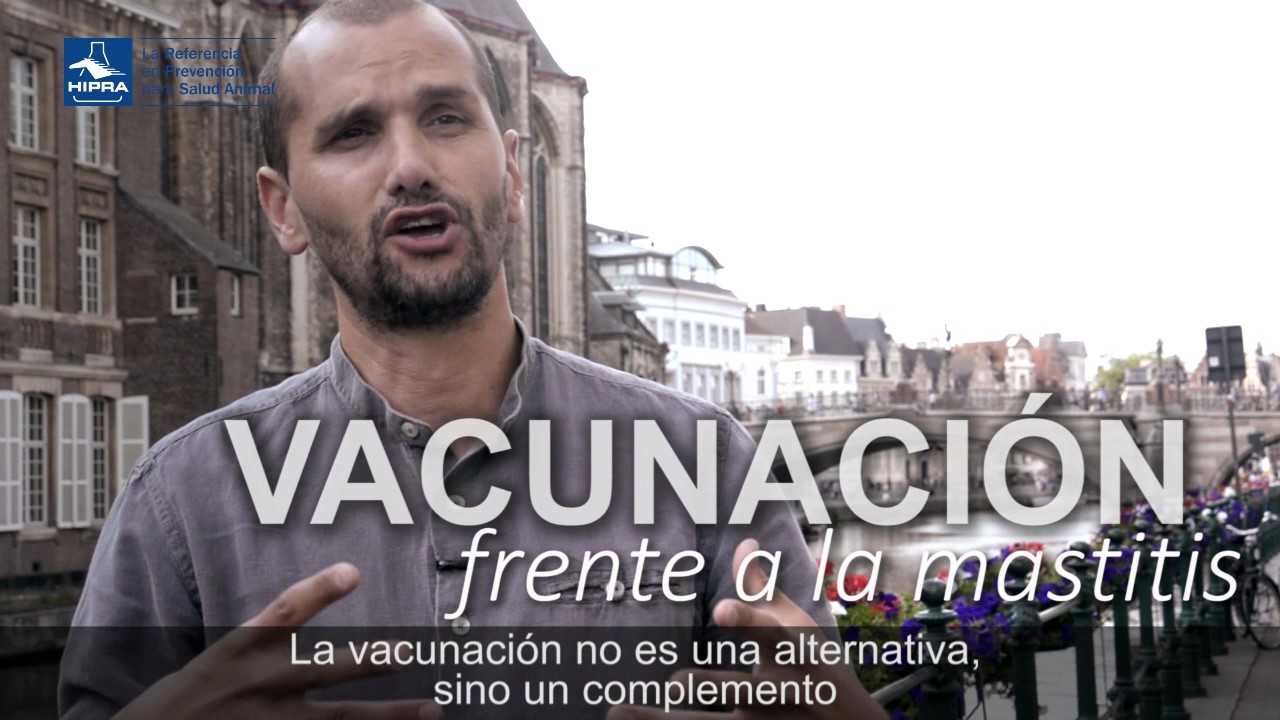 2016 Hipra startvac - YouTube