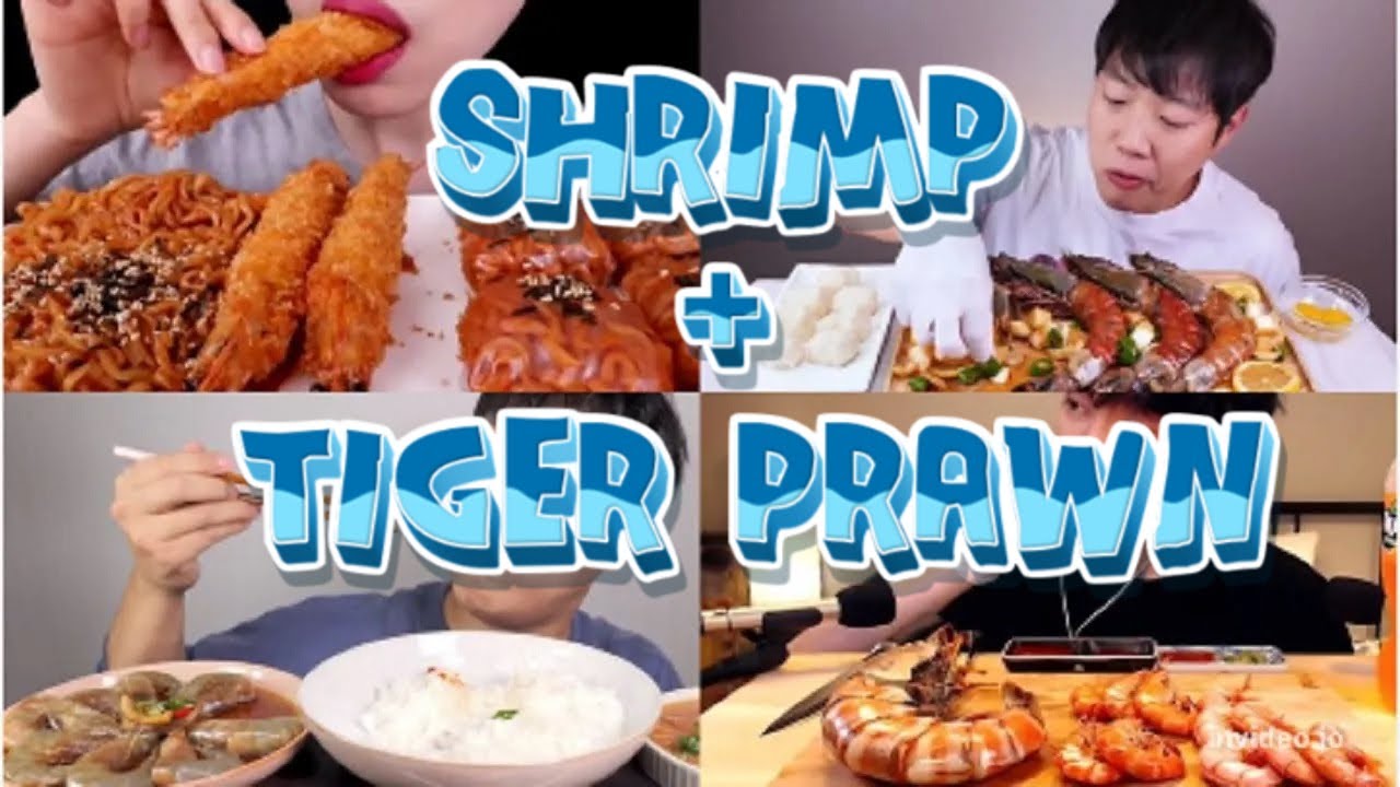 SHRIMP & TIGER PRAWN | ASMR MUKBANG COMPILATION | EATING SOUNDS ...