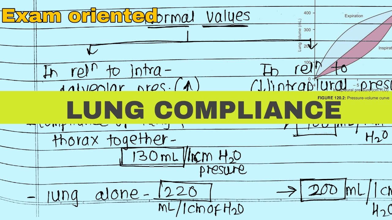 lung compliance | respiratory system physiology|| mbbs buddy - YouTube