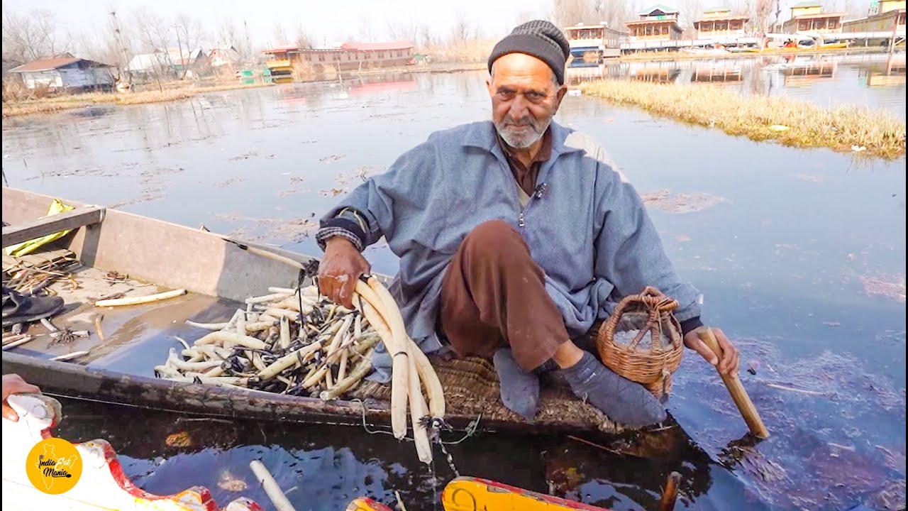 Most Unique Nadru/Kamal Kakdi Farming in Dal Lake Rs. 500/- Per Kg l ...
