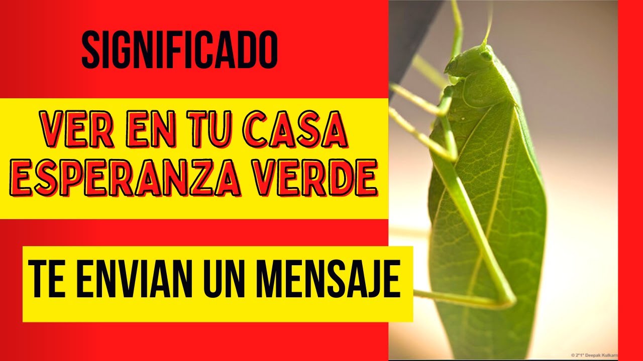 SIGNIFICADO ESPIRITUAL DE ver una esperanza en tu casa # ...
