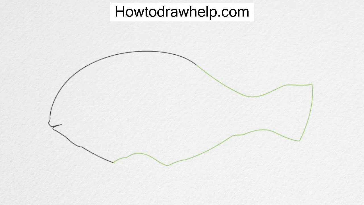 How to draw a FISH step by step for kids - YouTube